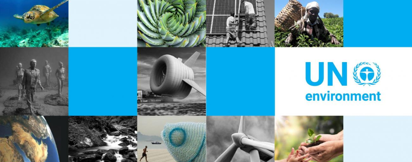 PMUN 2021 | MUN in Delhi | MUN in India | MUN 2021 | Registration for ...